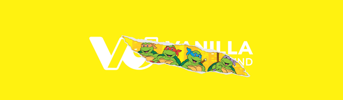 Our Teenage Mutant Ninja Turtles Collection! — Vanilla Underground