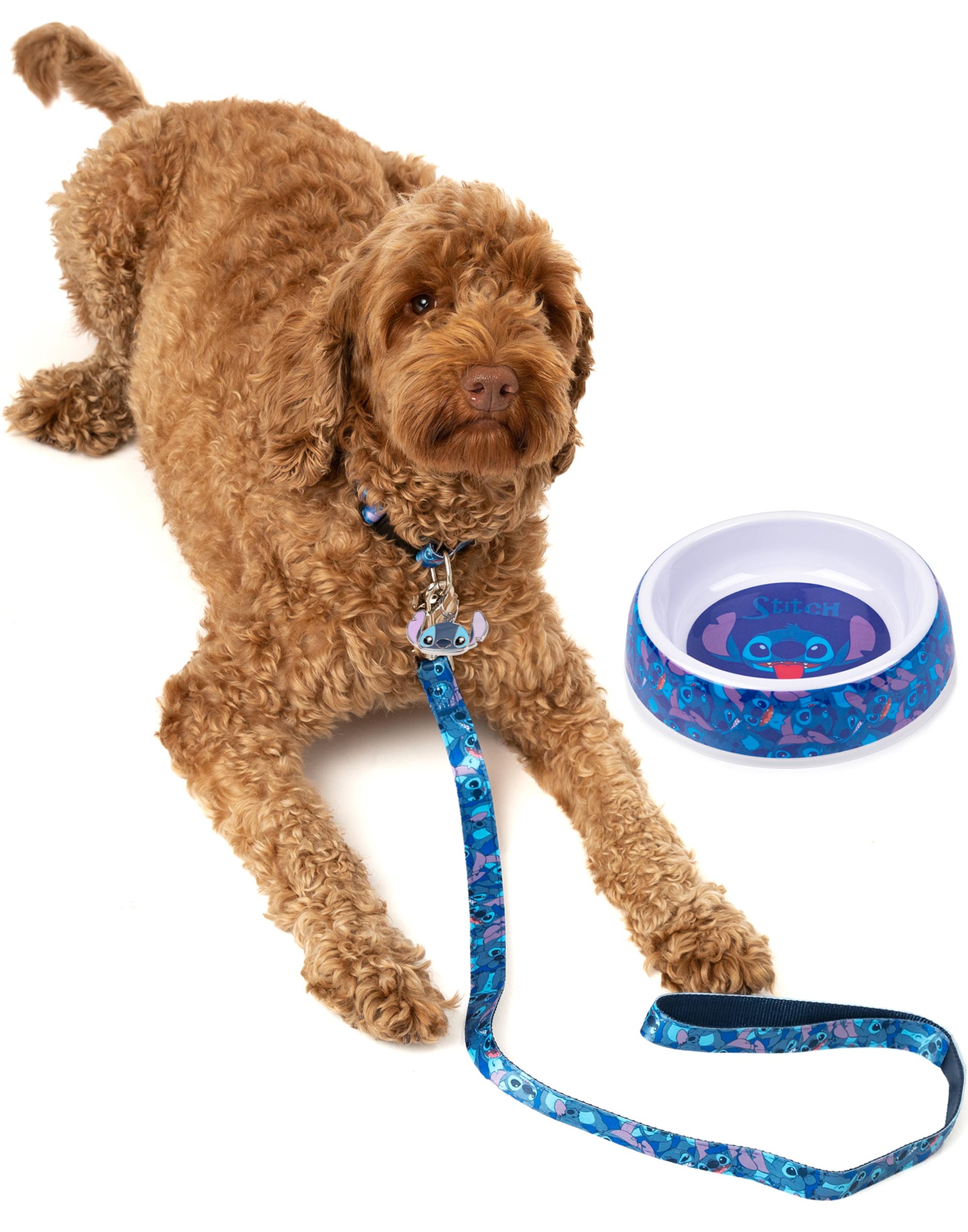 Disney Lilo & Stitch Pets 4 Piece Gift Set — Vanilla Underground