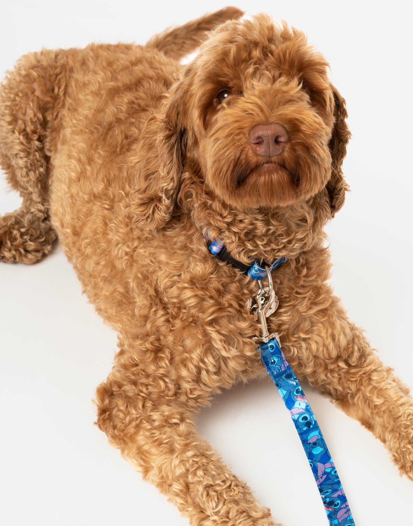 Disney Lilo & Stitch Pets 4 Piece Gift Set — Vanilla Underground