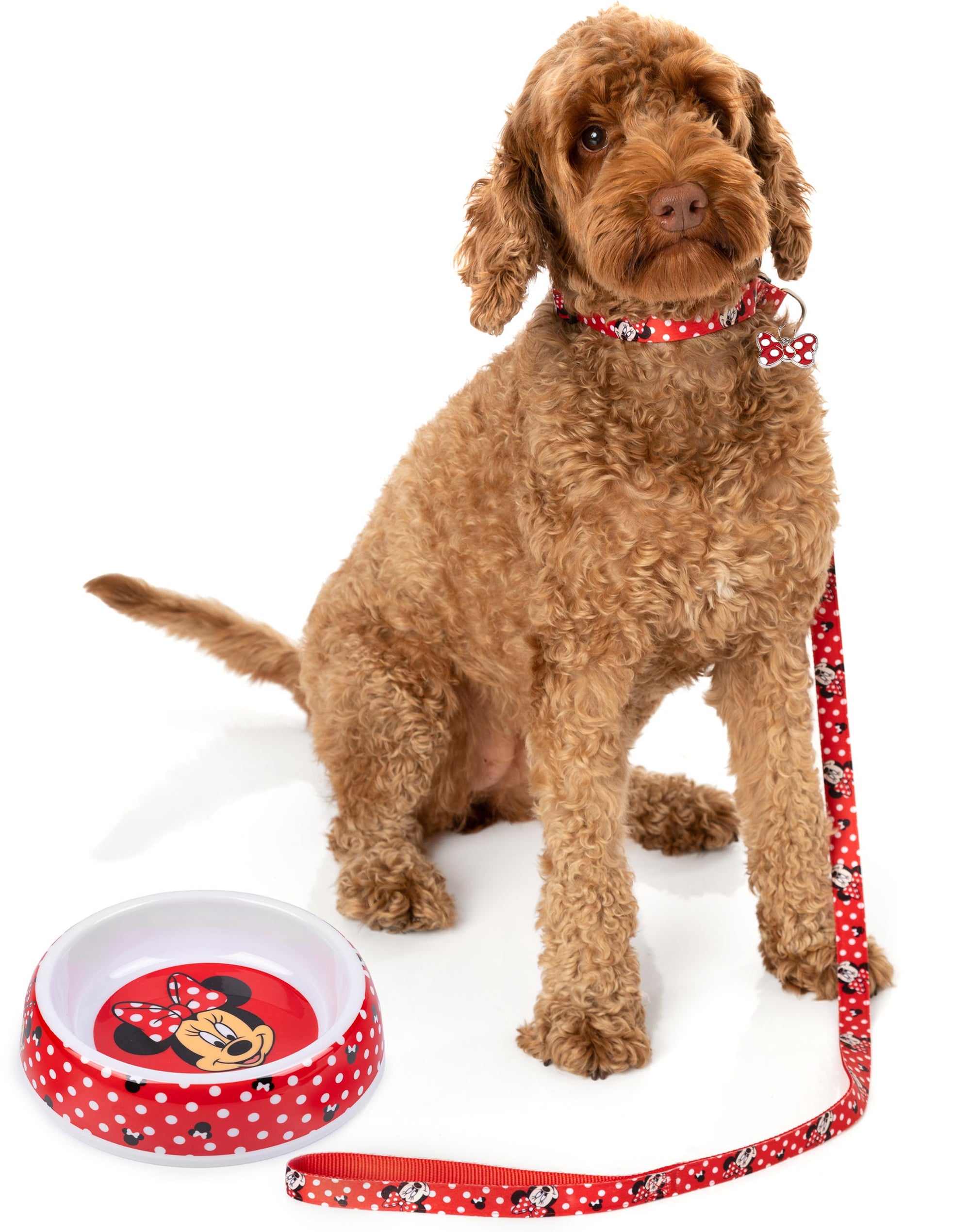 Minnie Mouse Pet Gift Set — Vanilla Underground